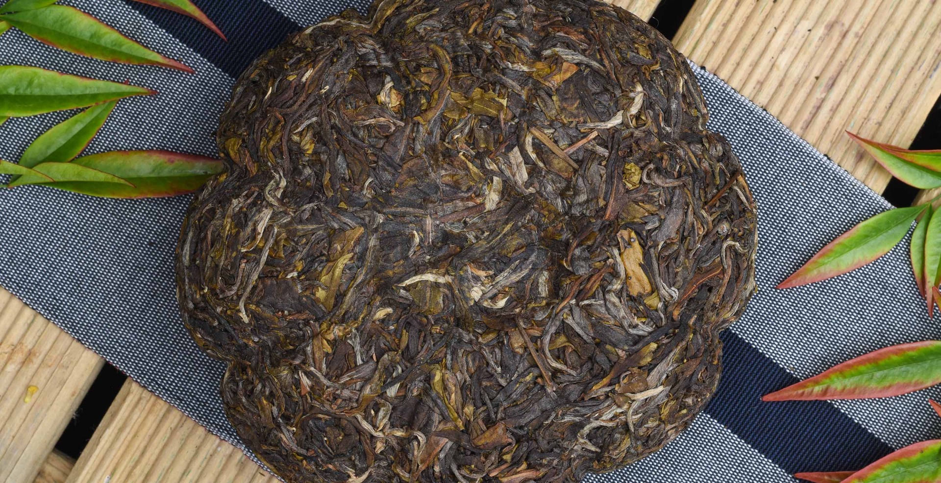 2021 Qianjiazhai Single Tree Sheng Pu'er Tea