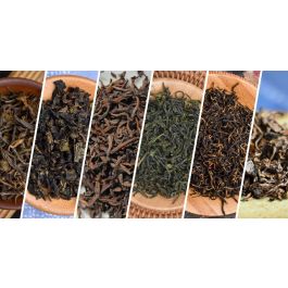 Discover True Single-Origin Tea