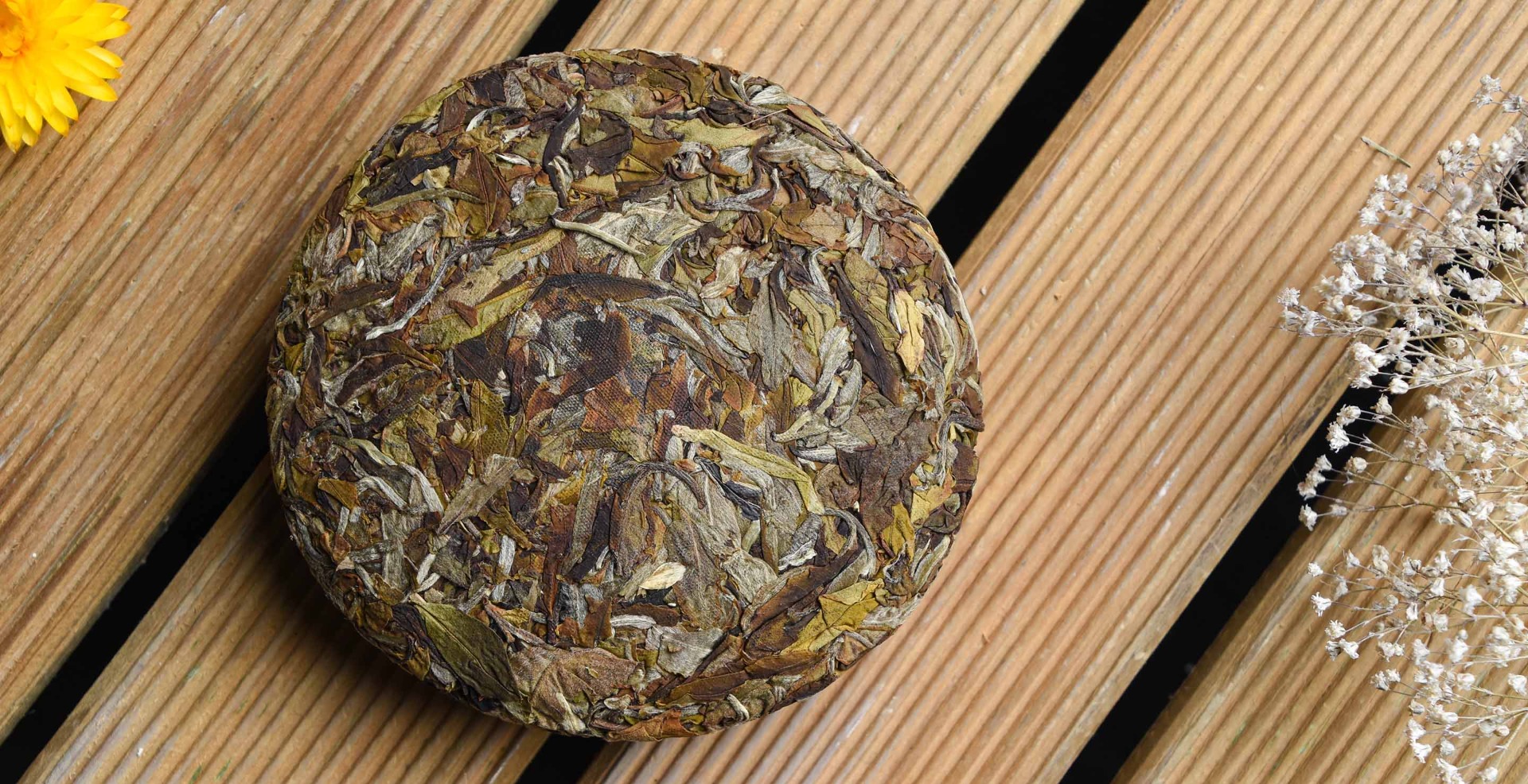 Qianjiazhai Wild Yue Guang Bai White Tea 100g Mini Cake