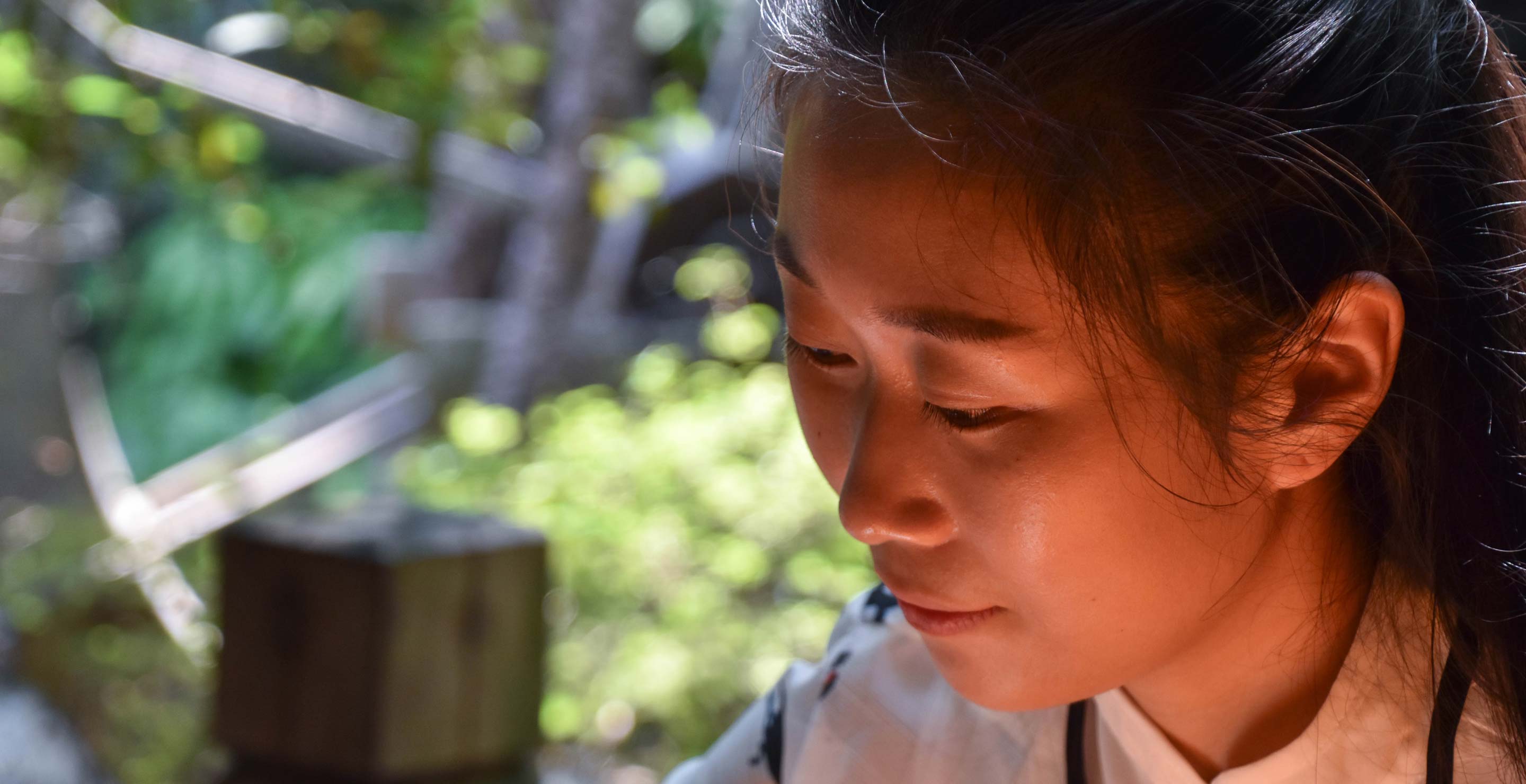 Tea Ceremony and Cha Dao - Blog