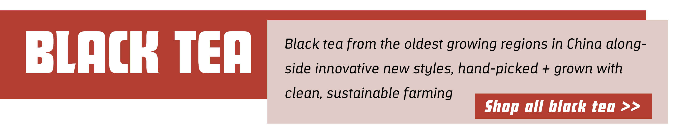 Shop the Verdant Tea collection