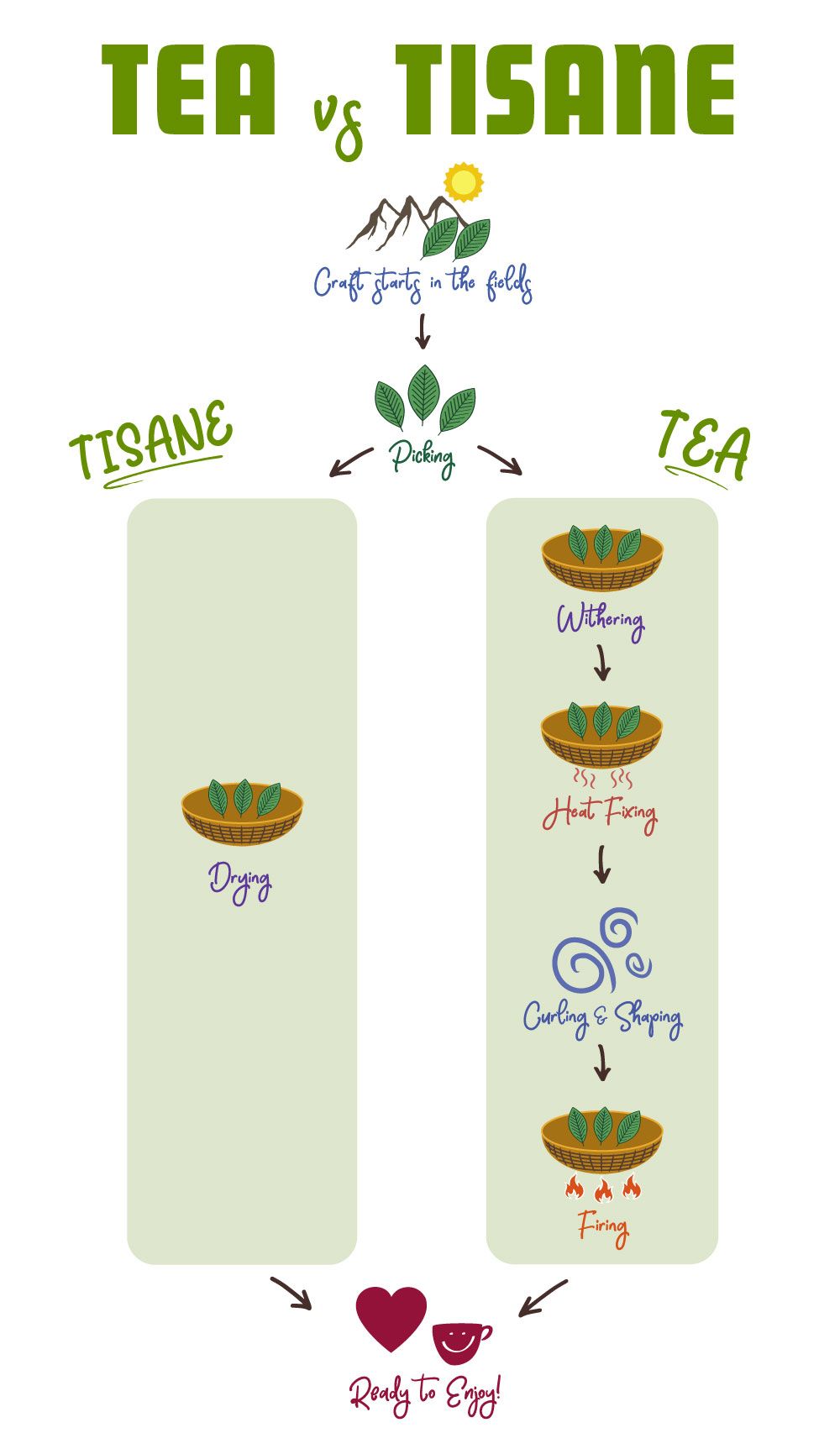 Tea vs Tisane: Is There a Difference? - Blog
